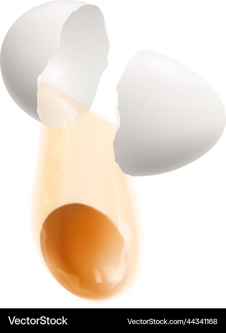 Realistic egg Royalty Free Vector Image - VectorStock