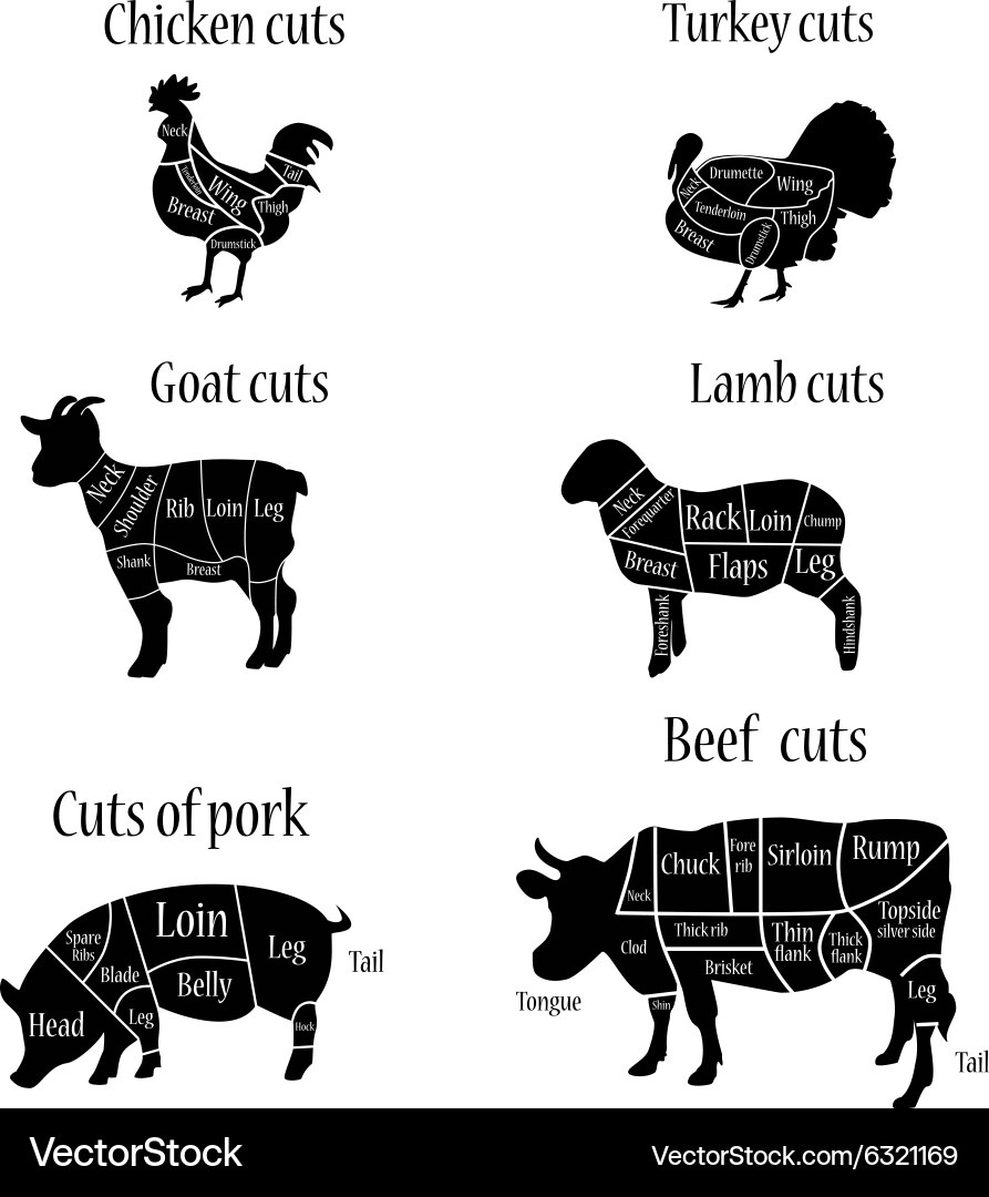 Butcher chart Royalty Free Vector Image - VectorStock