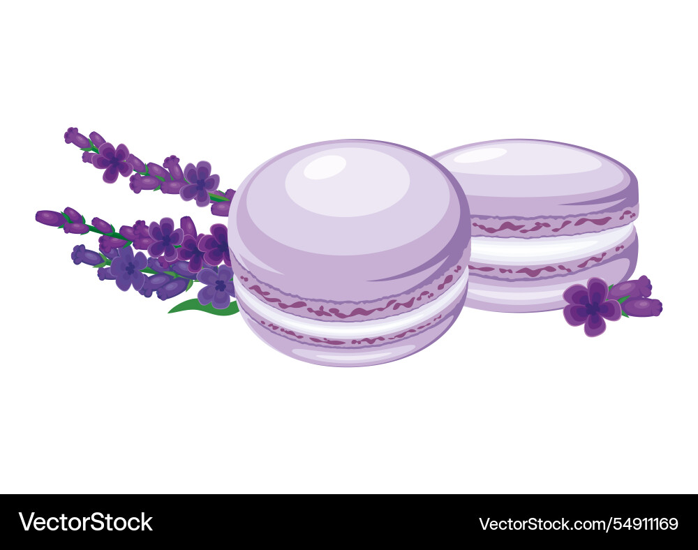 Lavender macarons and sprig icon set Royalty Free Vector