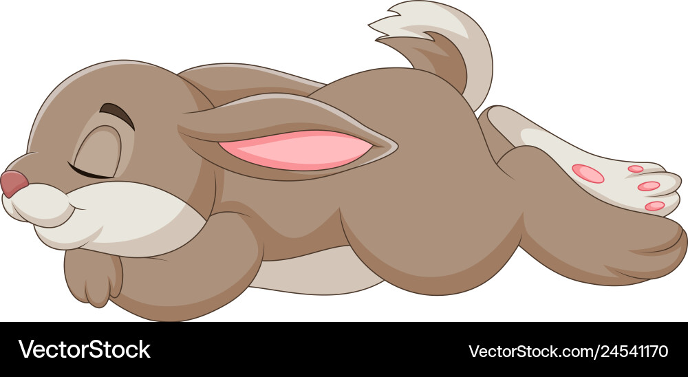 Rabbit sleeping isolated on white Royalty Free Vector Image