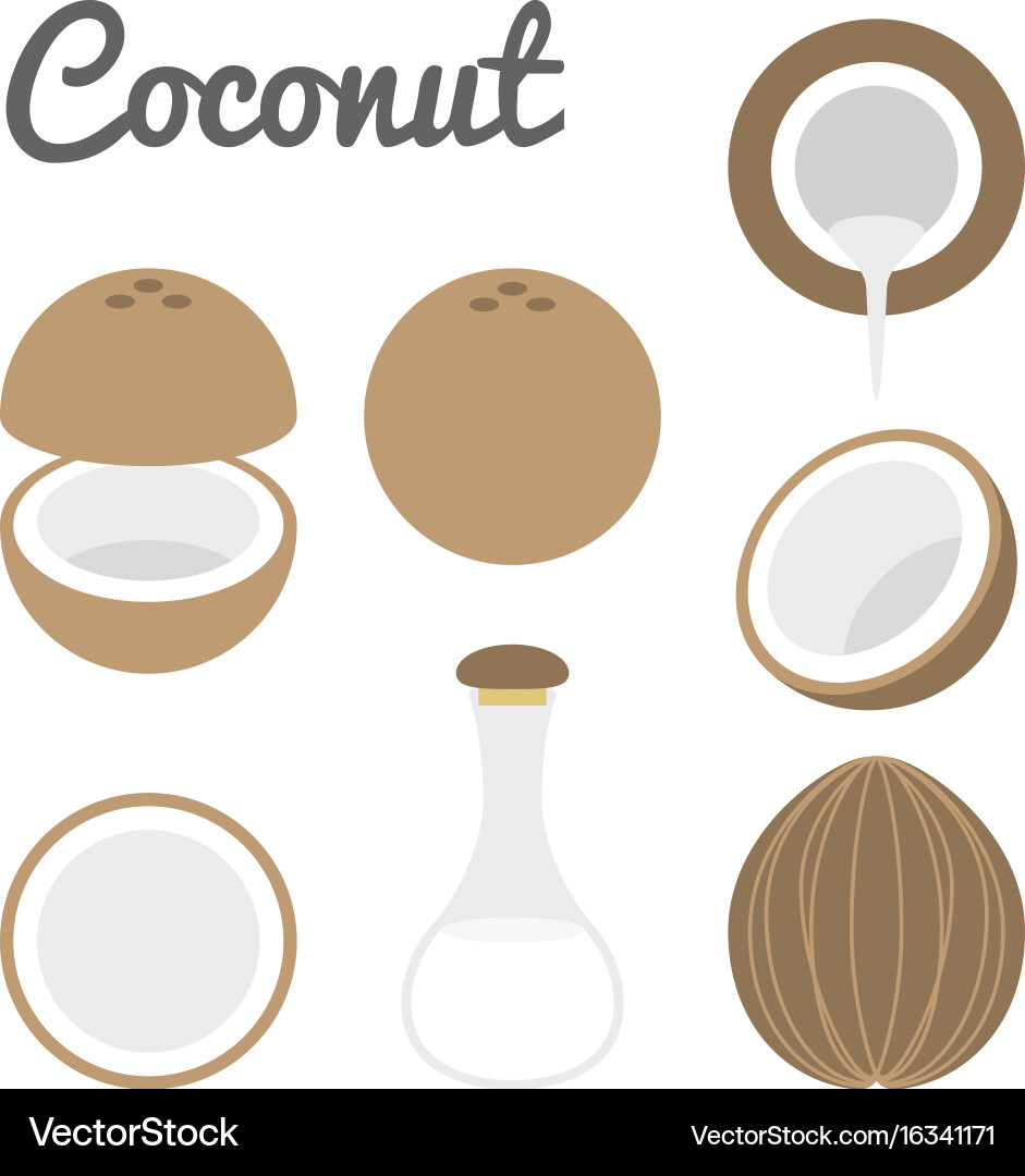 Coconut icon Royalty Free Vector Image - VectorStock