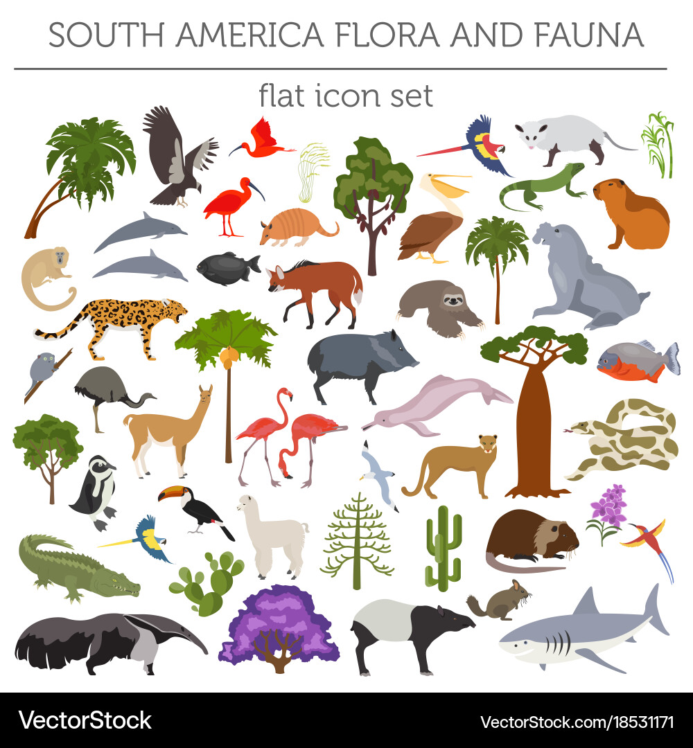 South America Wildlife & Flora Collection Vector Image