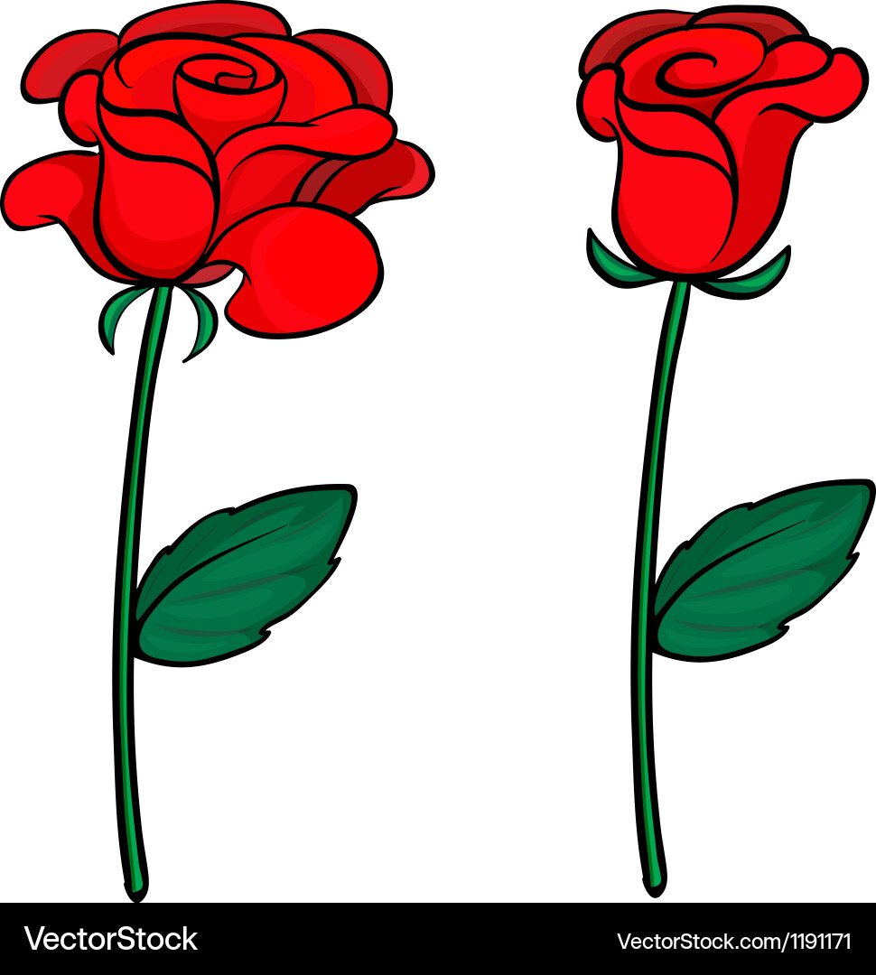 Two red roses Royalty Free Vector Image - VectorStock