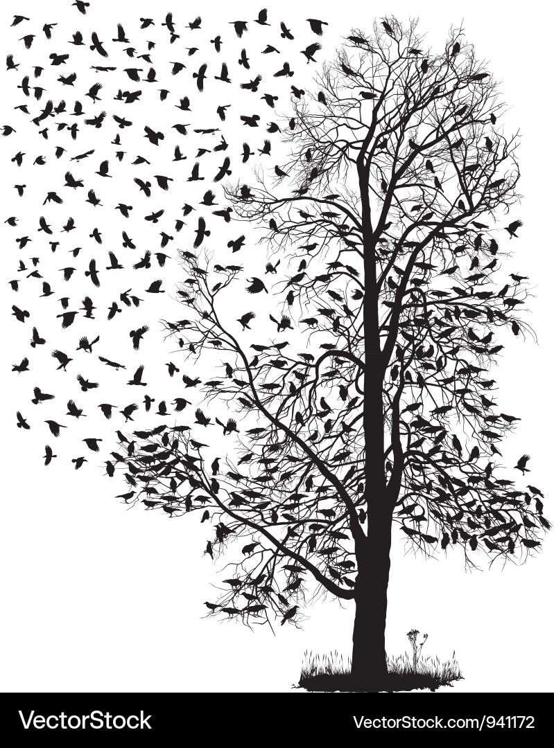 Crows in a tree Royalty Free Vector Image - VectorStock