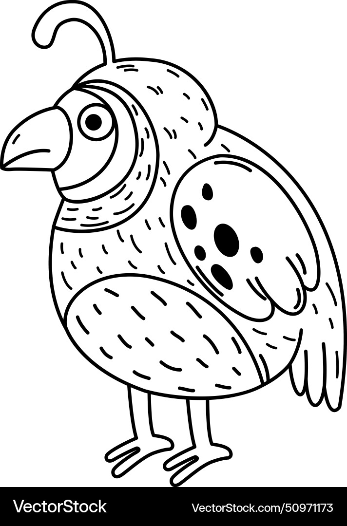 Hand drawn quail character Royalty Free Vector Image