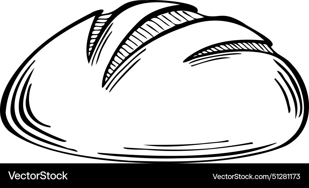 Round rye bread isolated Royalty Free Vector Image