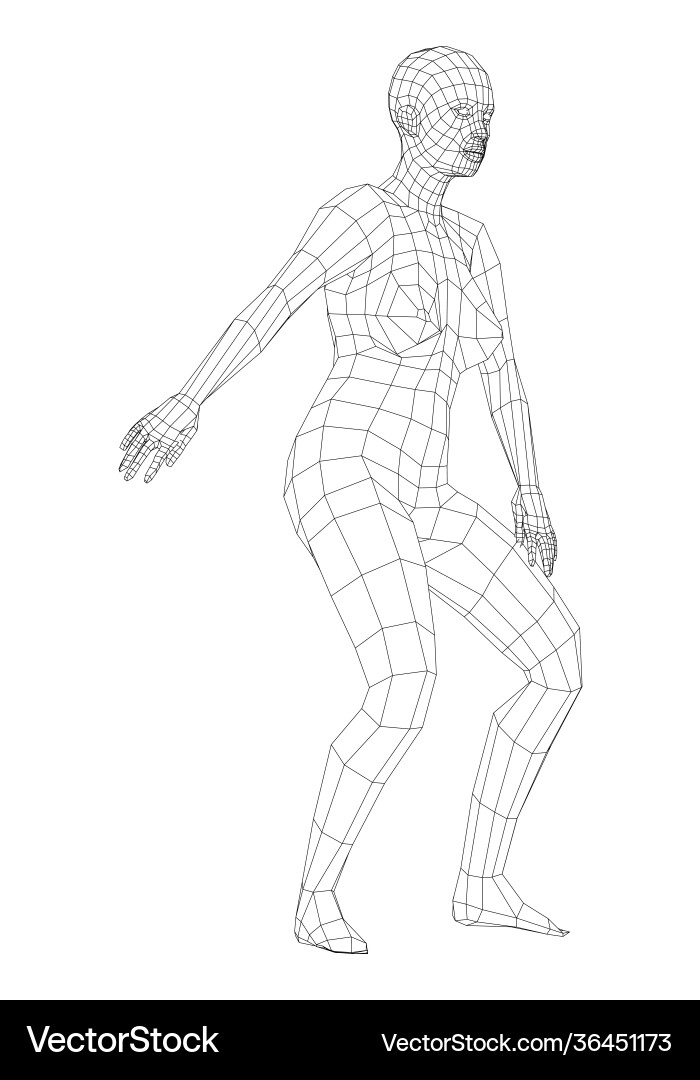 Wireframe ballerina in dance pose Royalty Free Vector Image