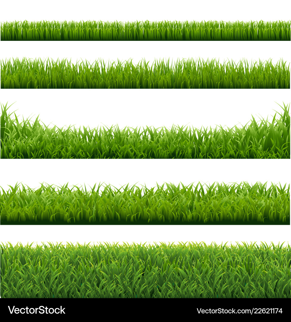 Green grass borders set background Royalty Free Vector Image