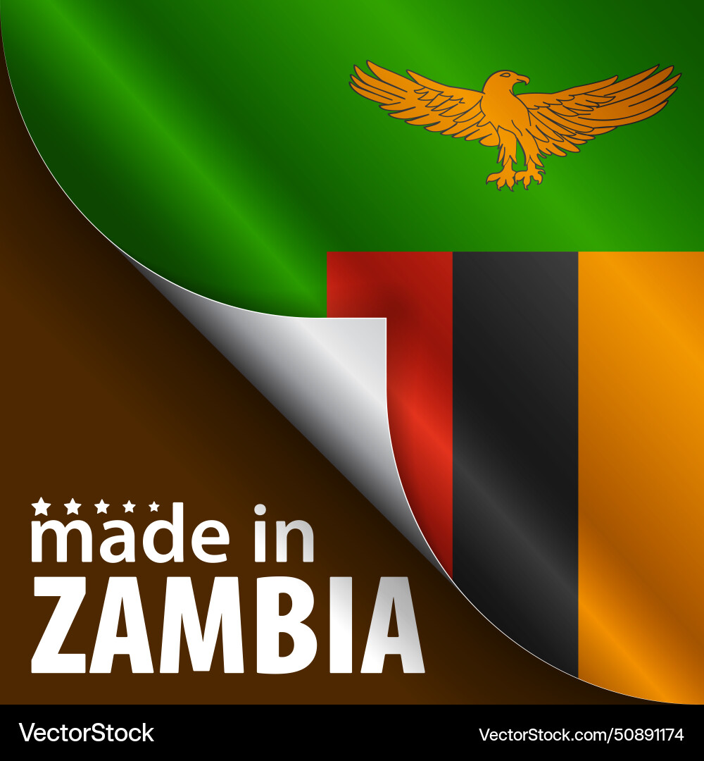 Made in zambia graphic and label Royalty Free Vector Image