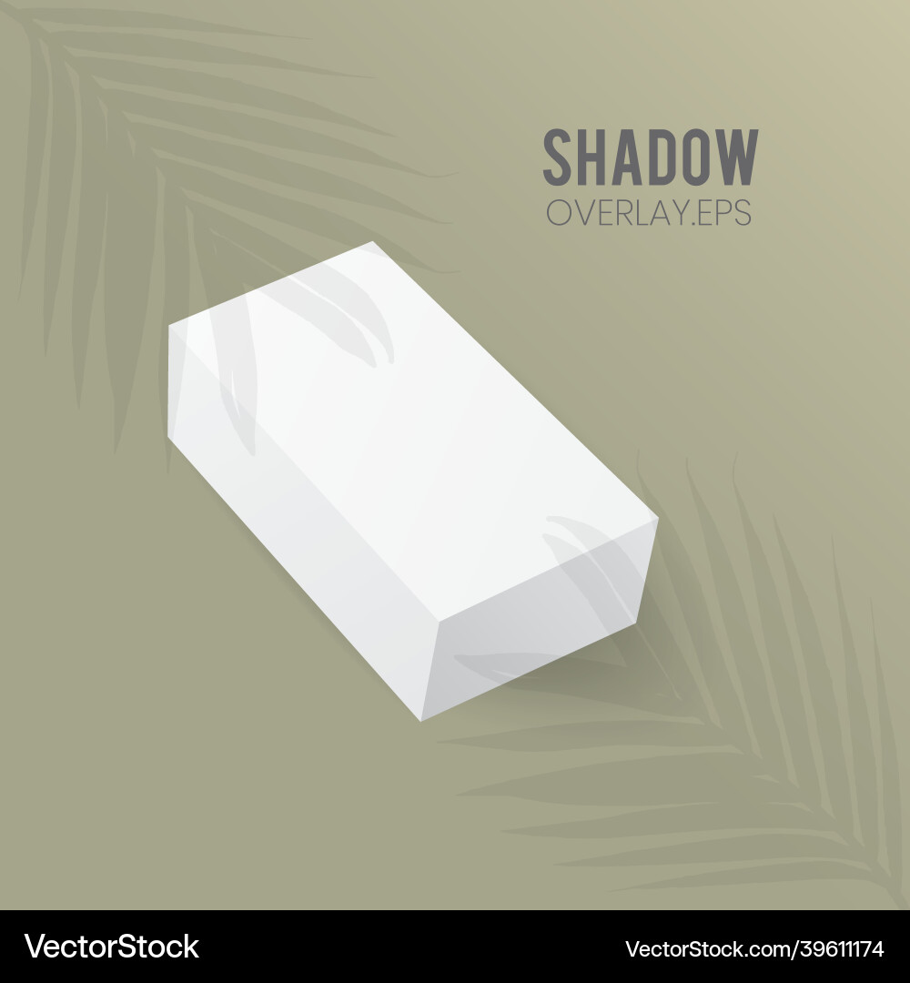 Rectangle box mockup perspective with leaf shadow Vector Image