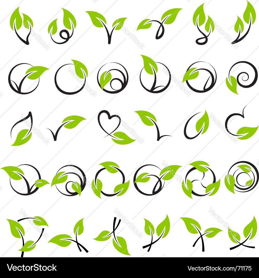 Leaves design elements Royalty Free Vector Image