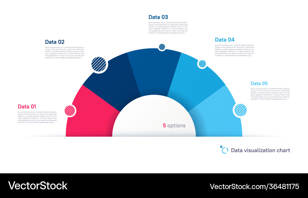 Pie chart infographic template in form Royalty Free Vector