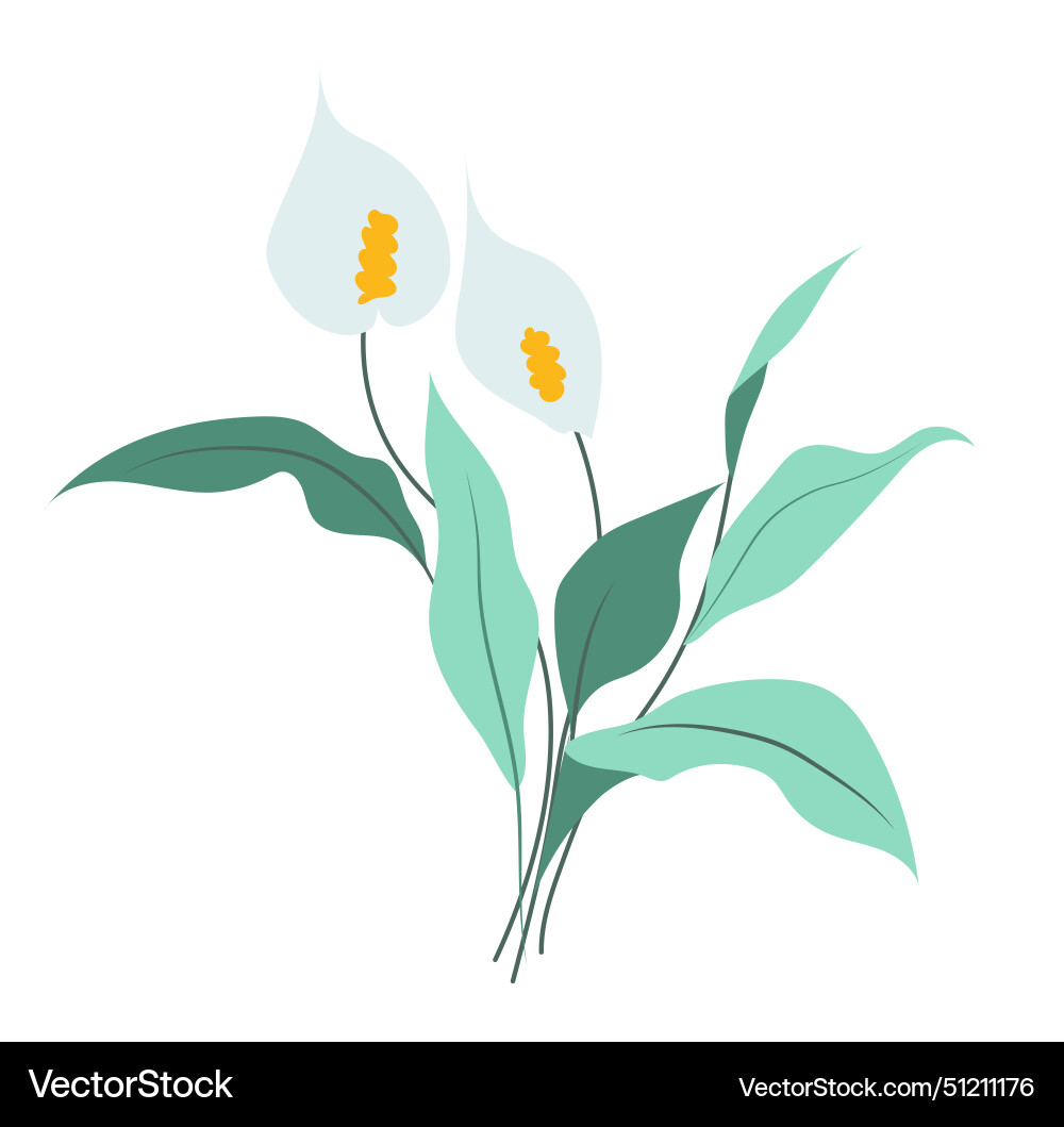 Abstract calla lily branch in flat design Vector Image