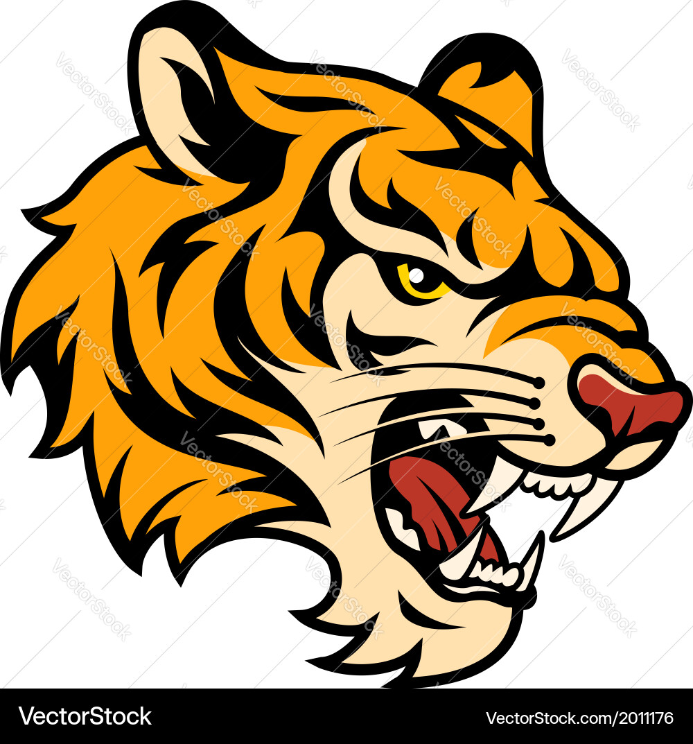 Tiger color Royalty Free Vector Image - VectorStock