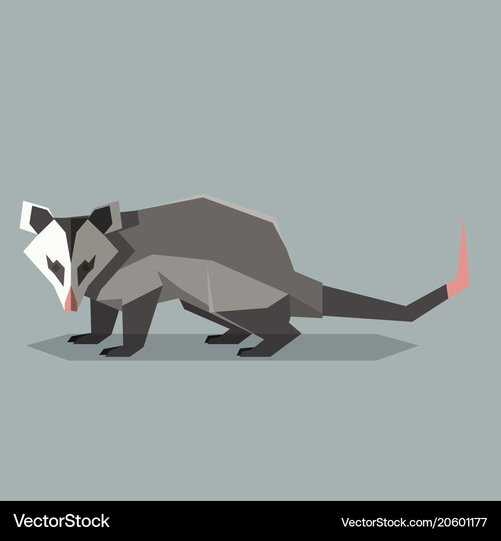 Flat polygonal opossum Royalty Free Vector Image