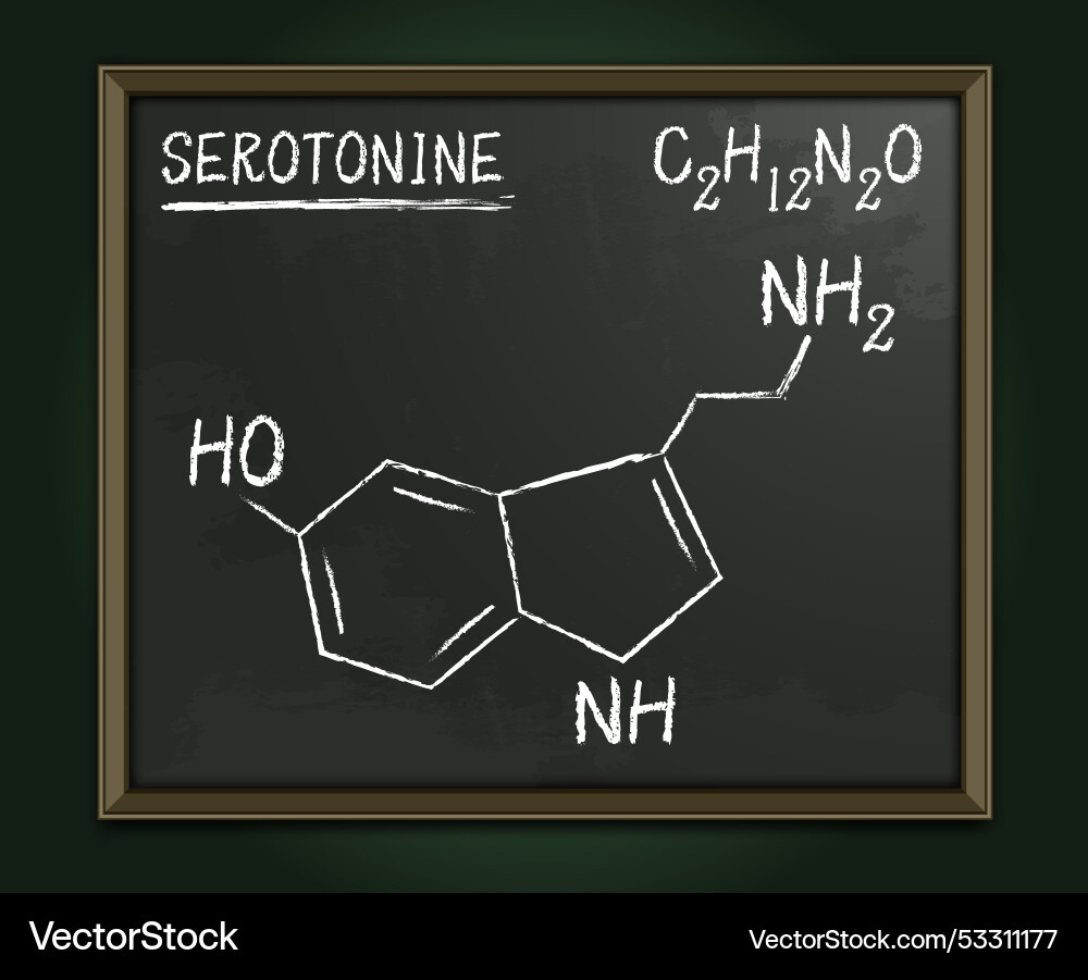 Serotonin molecule structure on the classroom Vector Image