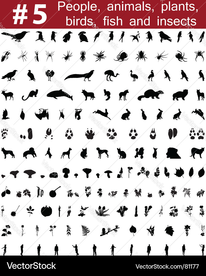 Silhouettes set Royalty Free Vector Image - VectorStock
