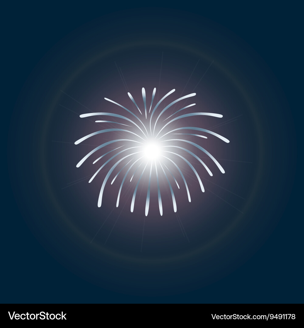 Fireworks Royalty Free Vector Image - VectorStock