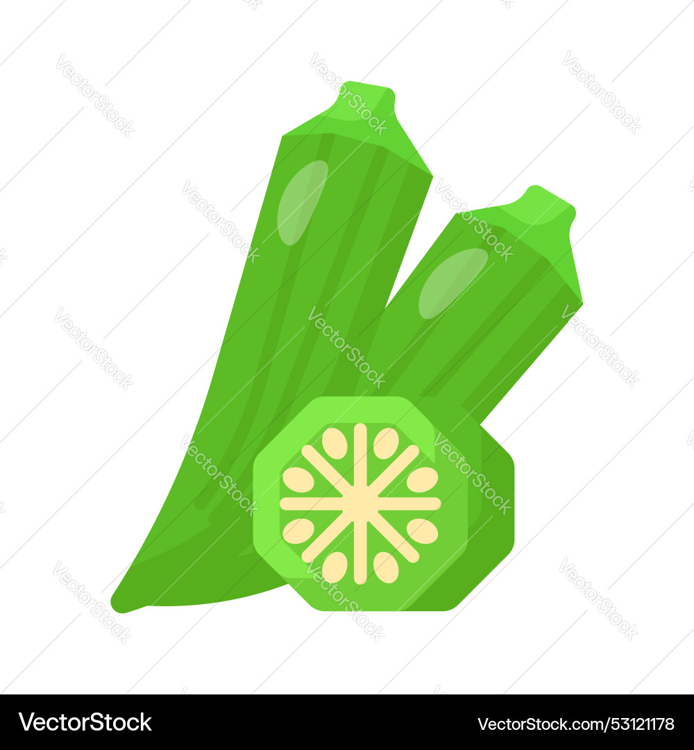 Okra Royalty Free Vector Image - VectorStock