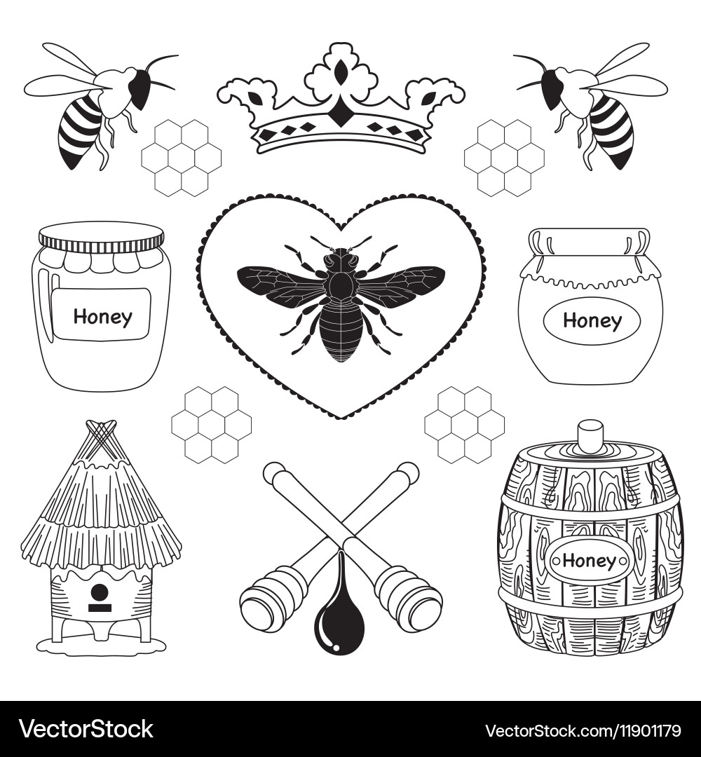 Honey Bee Icon Set Royalty Free Vector Image - VectorStock