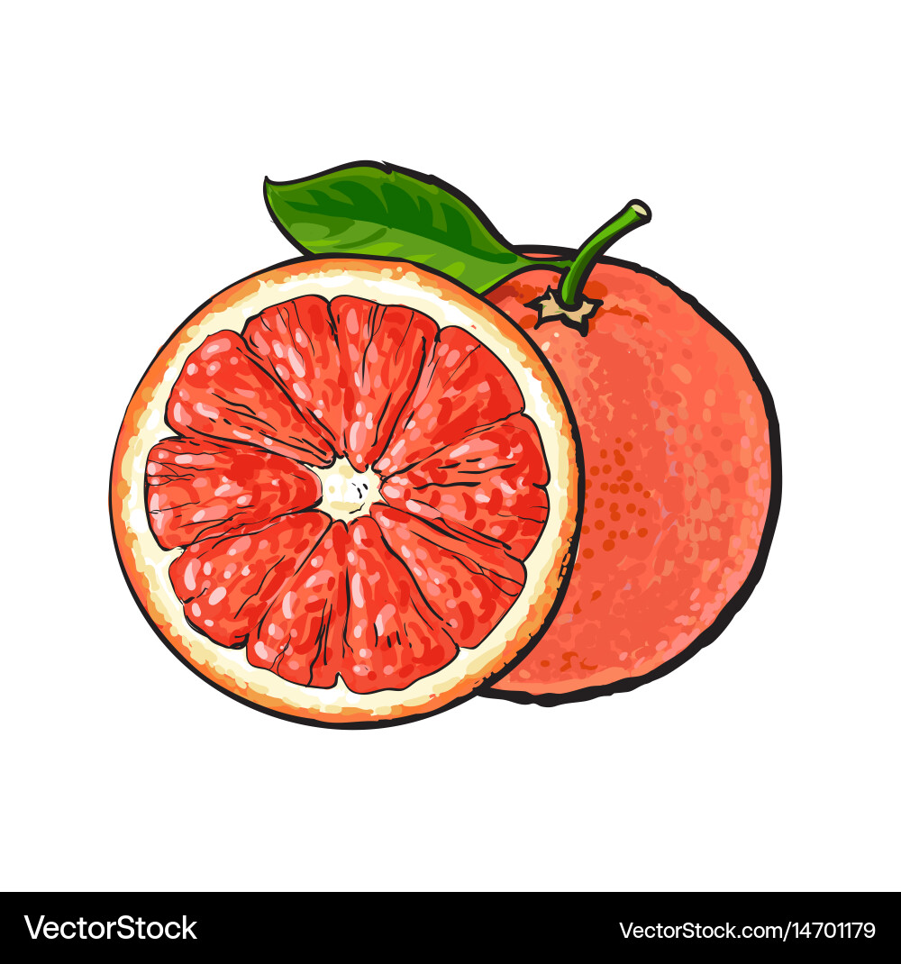 Whole and half unpeeled ripe pink grapefruit Vector Image