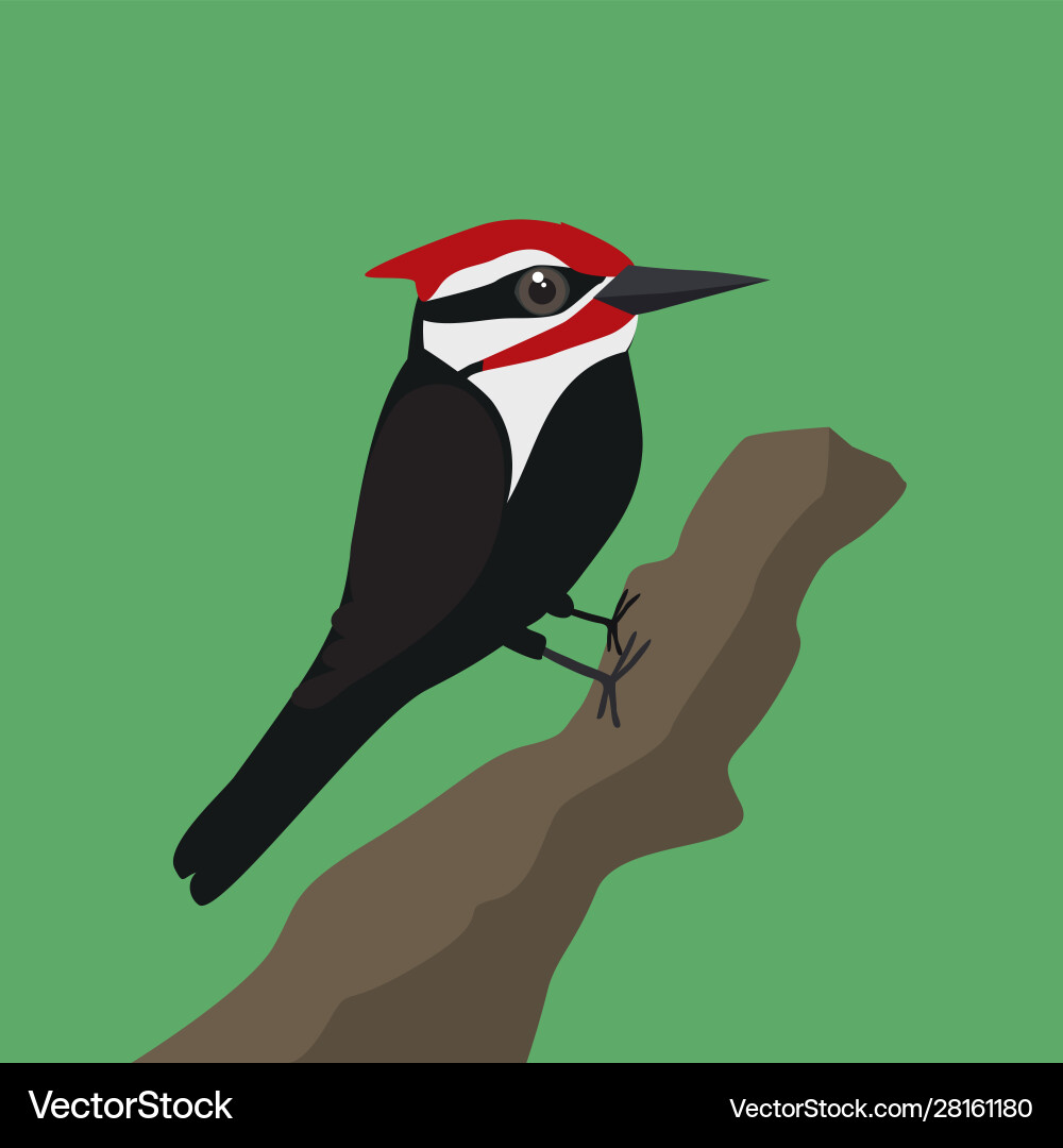 An error Royalty Free Vector Image - VectorStock