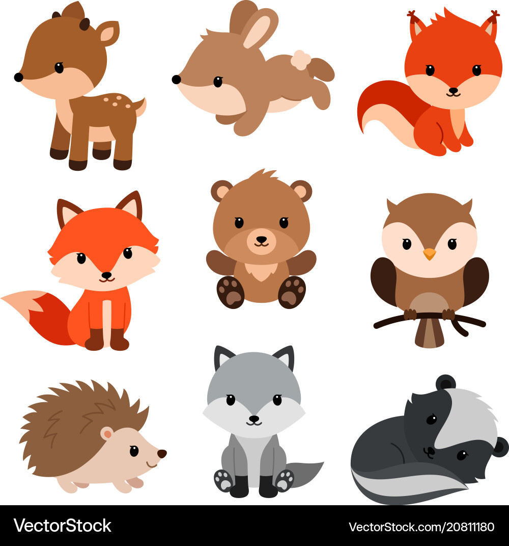 Cute Woodland Animals Royalty Free Vector Image