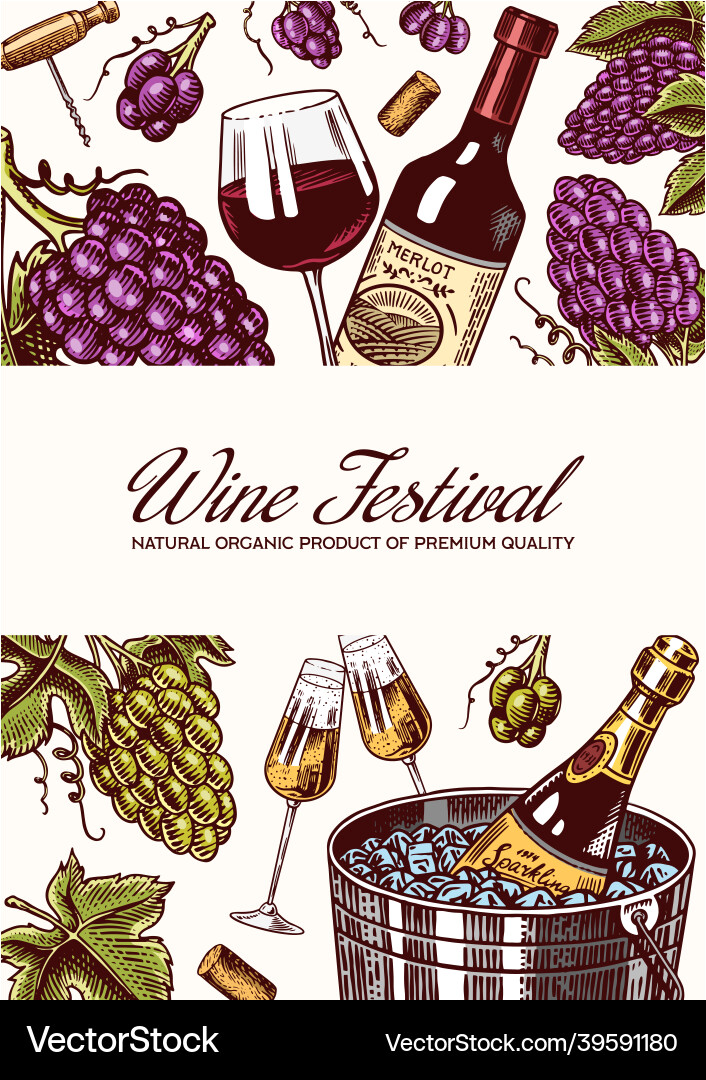 Wine poster or vineyard banner sparkling Vector Image