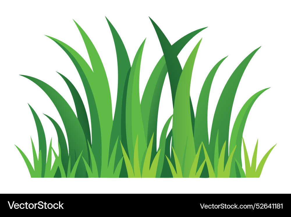 Vibrant green grass flat on white background Vector Image