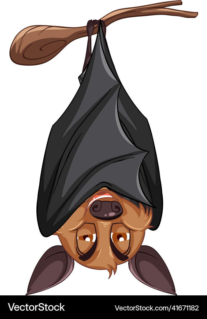 Cartoon bat hanging on white background Royalty Free Vector