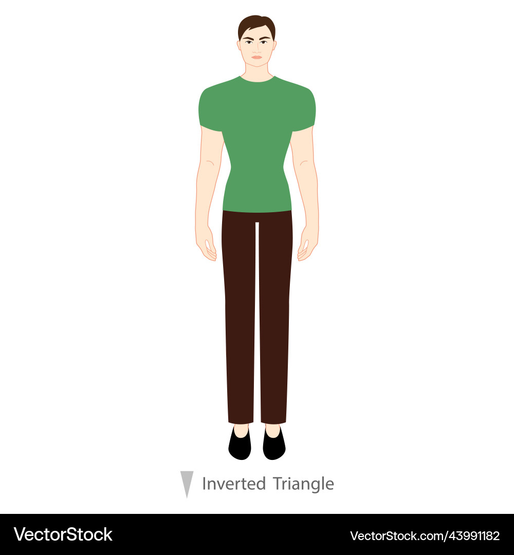 Men inverted triangle body shape character male Vector Image