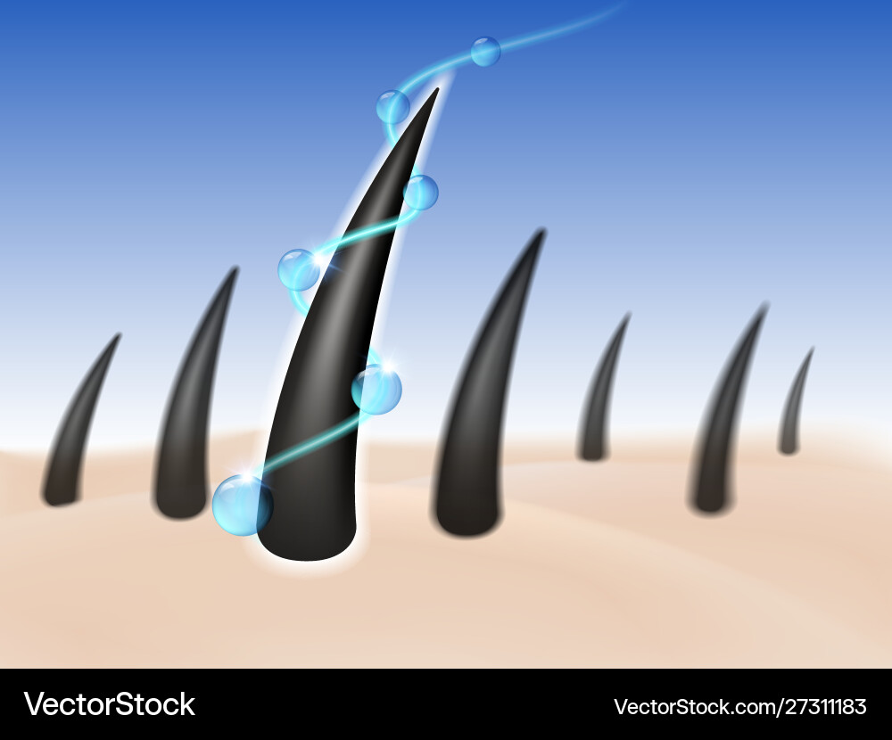 Hair care treatment serum Royalty Free Vector Image