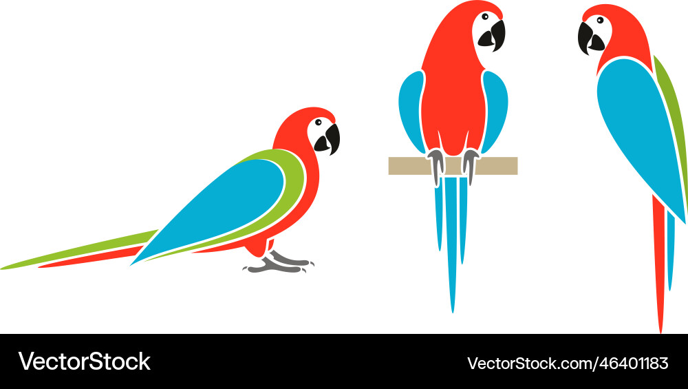 Parrot macaw Royalty Free Vector Image - VectorStock
