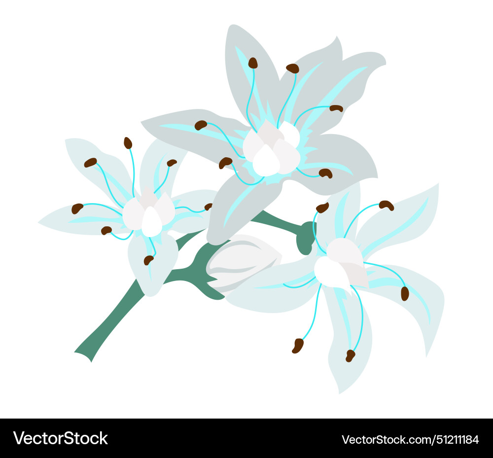 Abstract white lilly flowers in flat design Vector Image