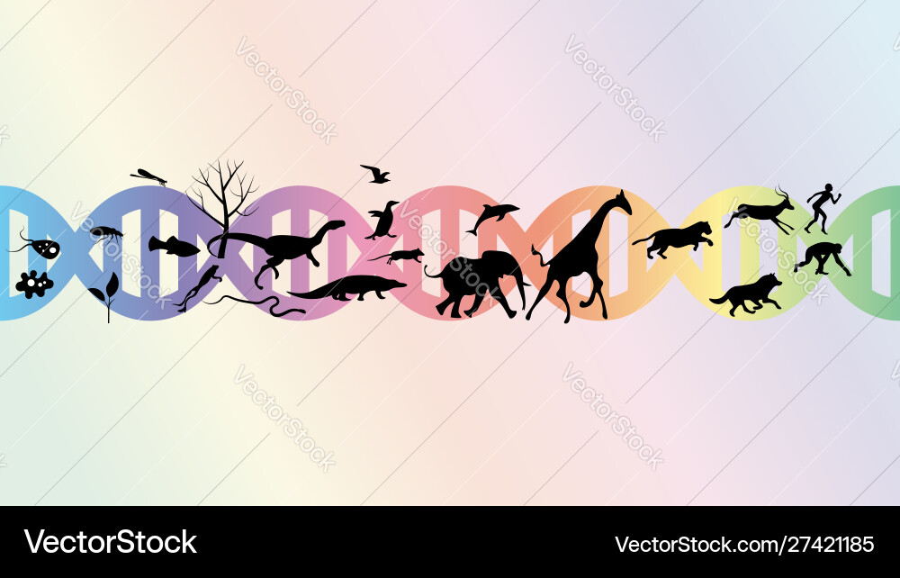 Bonobos Vector Images (over 230)