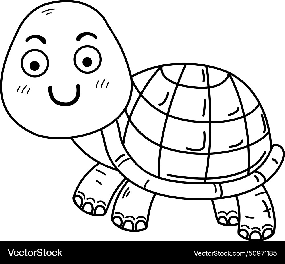 Hand drawn turtle character Royalty Free Vector Image