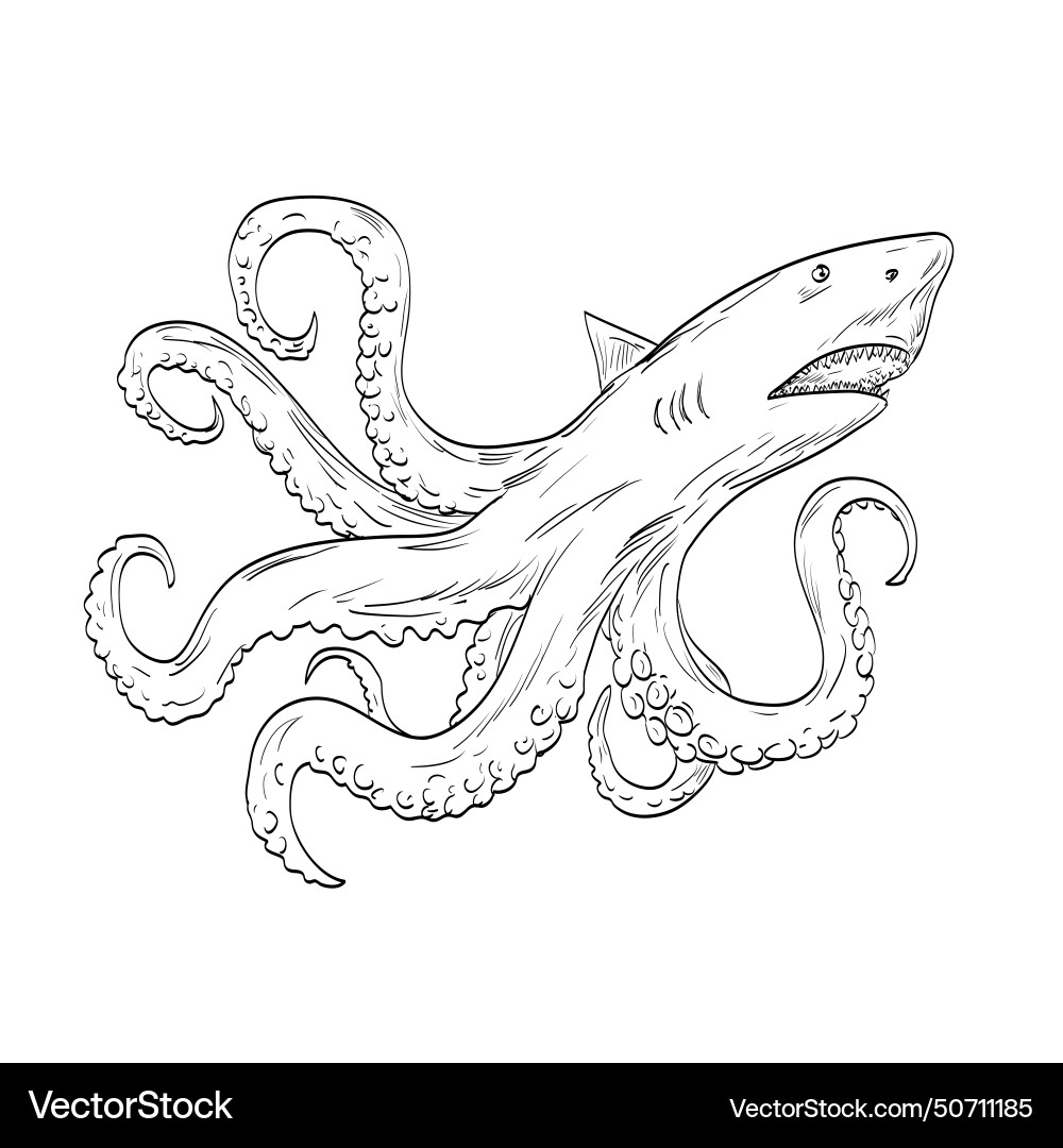 Lusca sea monster half shark octopus drawing Vector Image