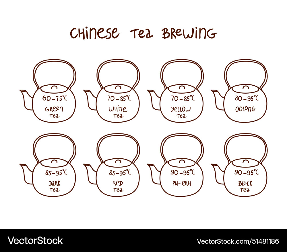 Chinese tea brewing temperatures poster Royalty Free Vector