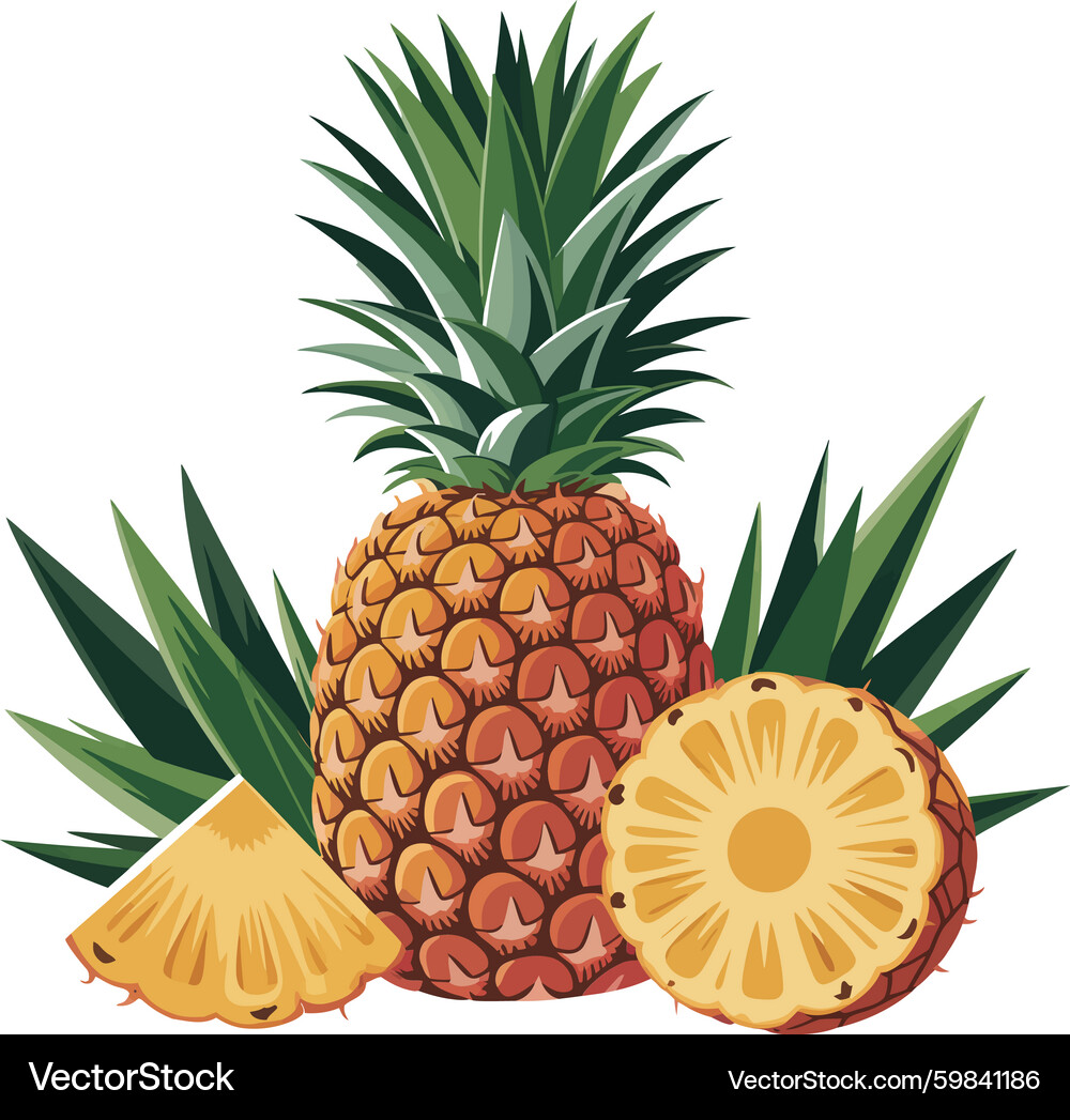 Ripe Pineapple with Slice and Cross-Section Vector Image