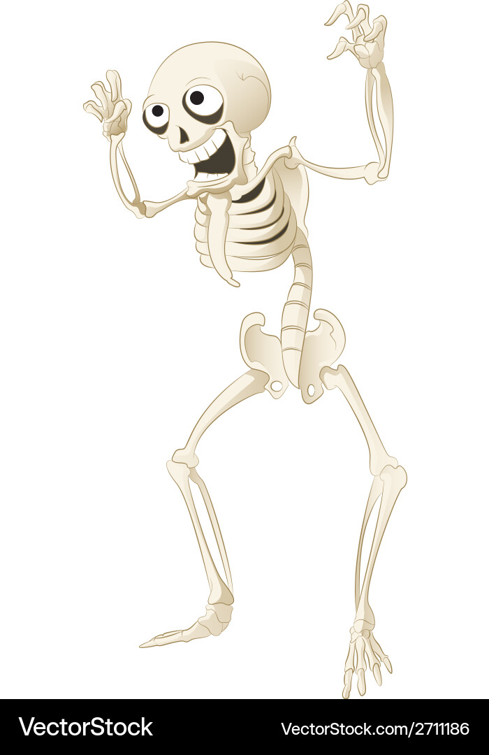 Skeleton Royalty Free Vector Image - VectorStock