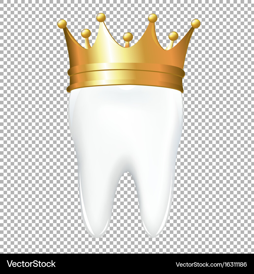 Tooth in crown Royalty Free Vector Image - VectorStock