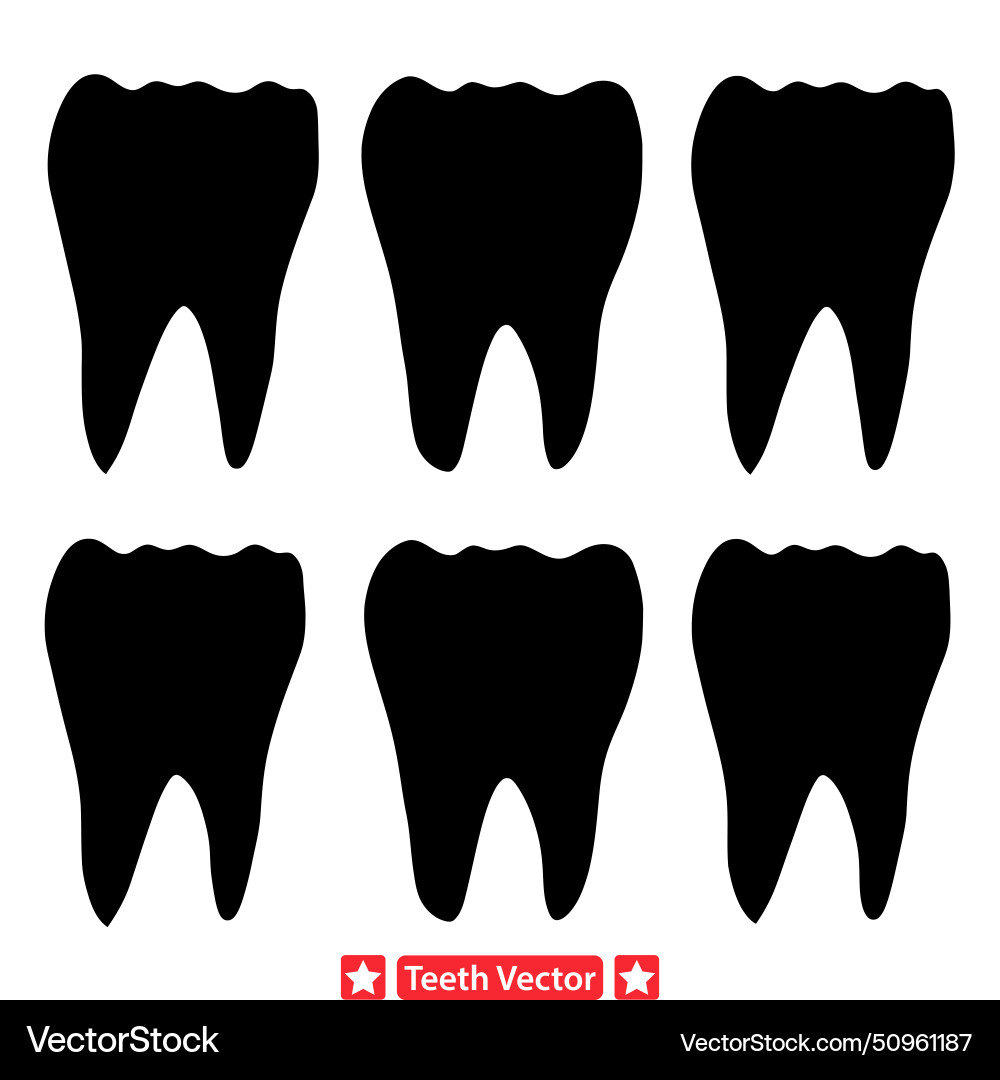 Dental essentials comprehensive tooth silhouette Vector Image