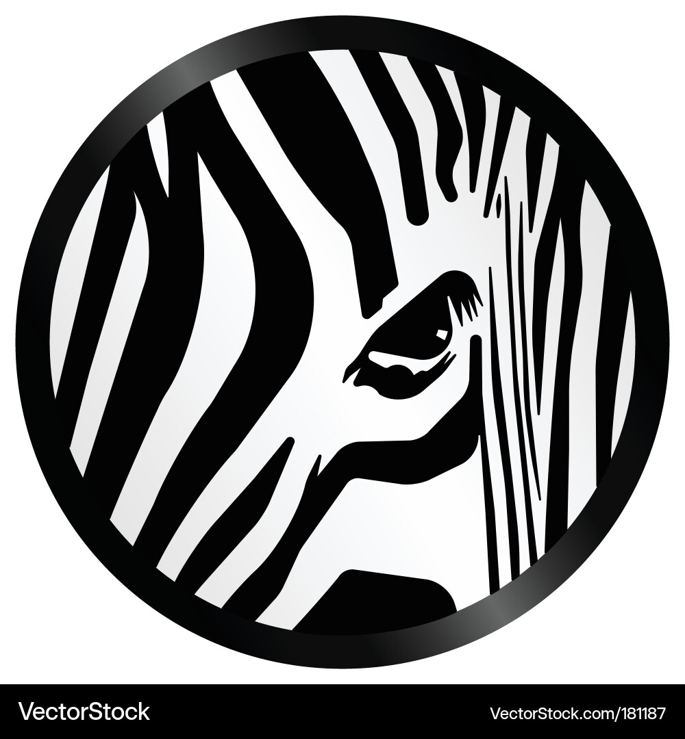 Zebra Icon Royalty Free Vector Image - VectorStock