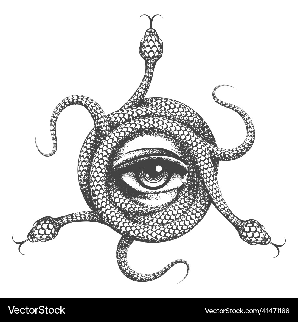 All seeing eye inside snake knot masonic symbol Vector Image