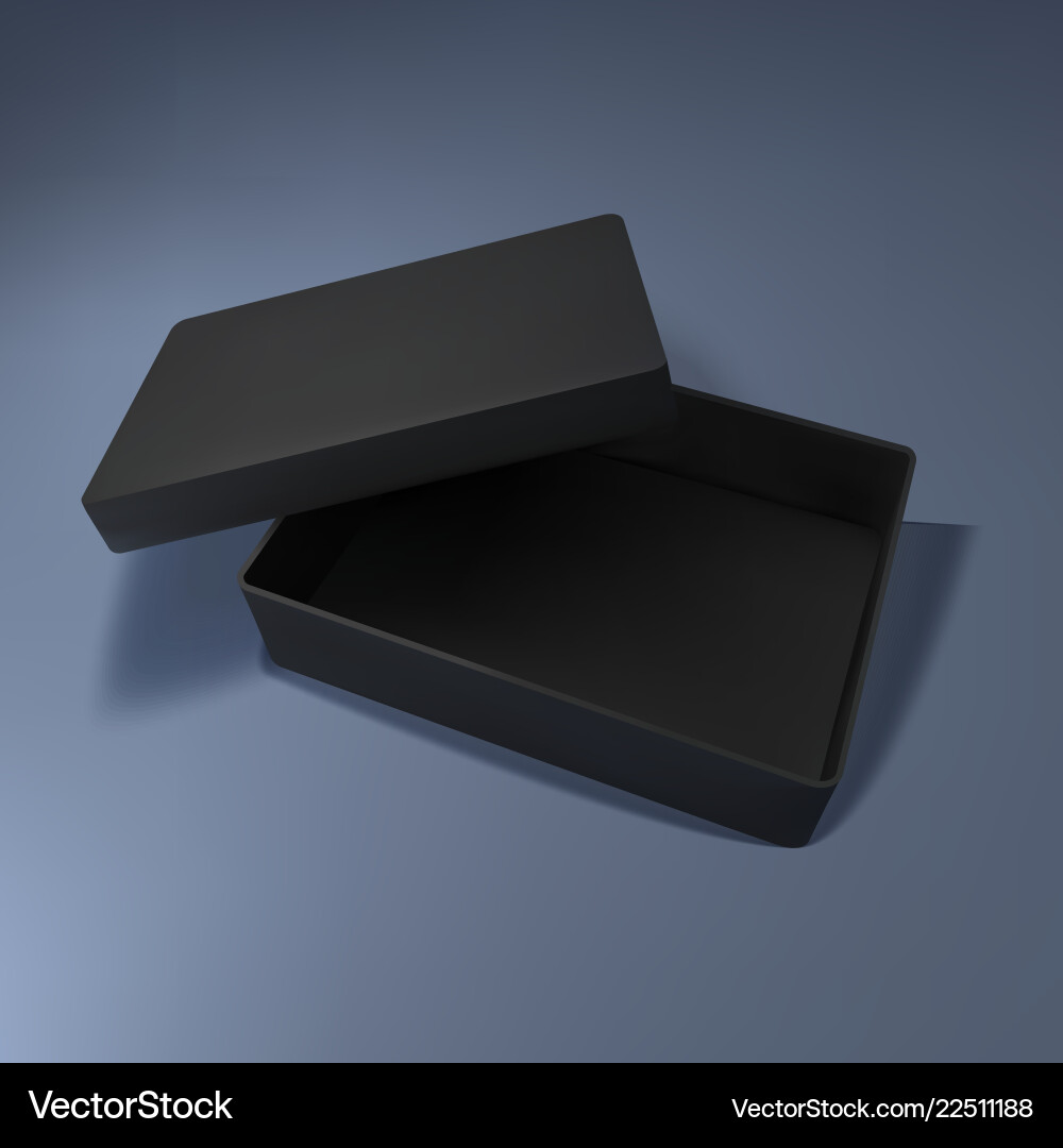 Black box mockup Royalty Free Vector Image - VectorStock