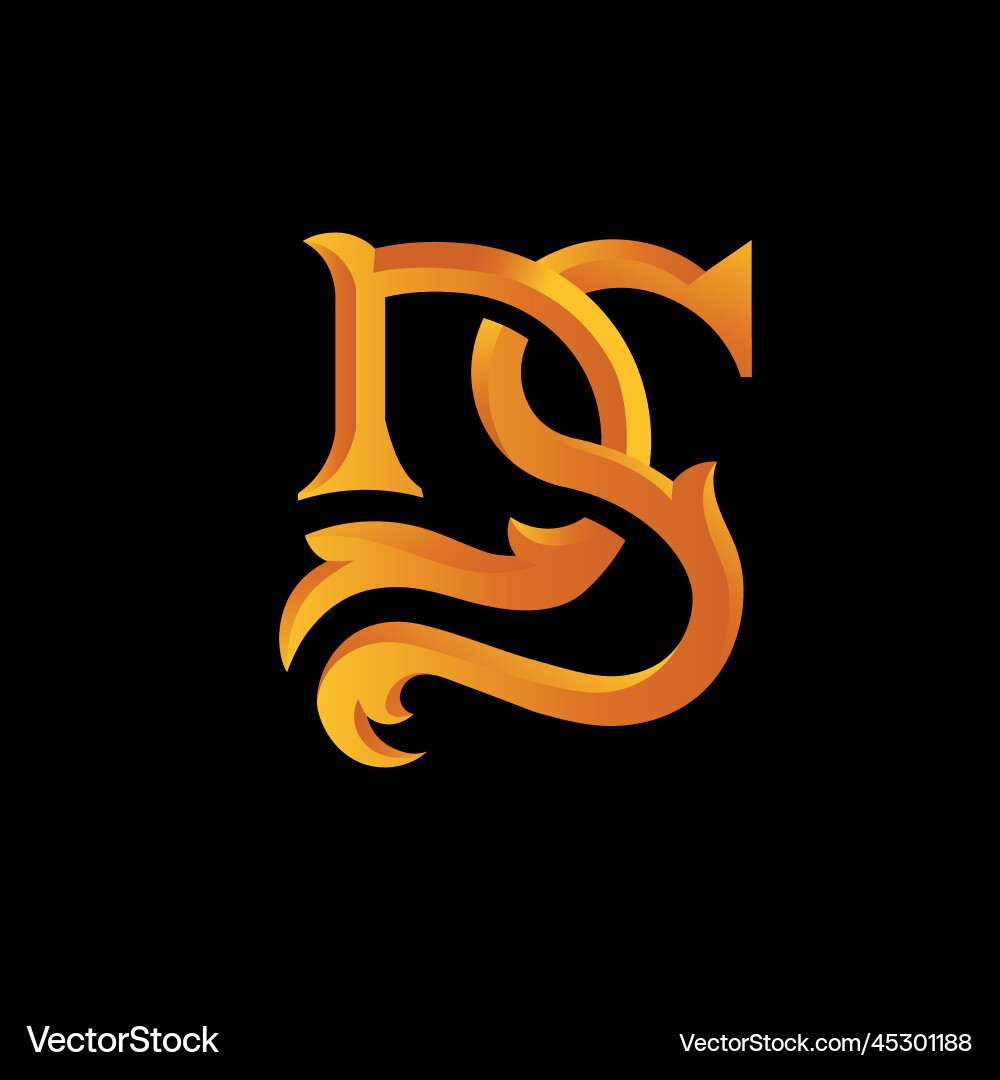 DS Monogram Letter with Highlight Royalty Free Vector Image
