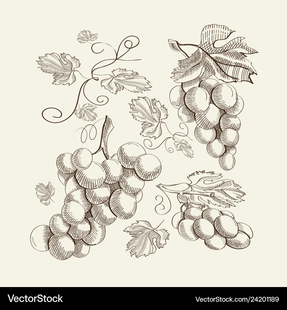 Decorative fresh berry sketch template Royalty Free Vector