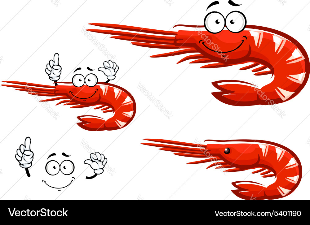 Cute Red Shrimp Cartoon Royalty Free Vector Image