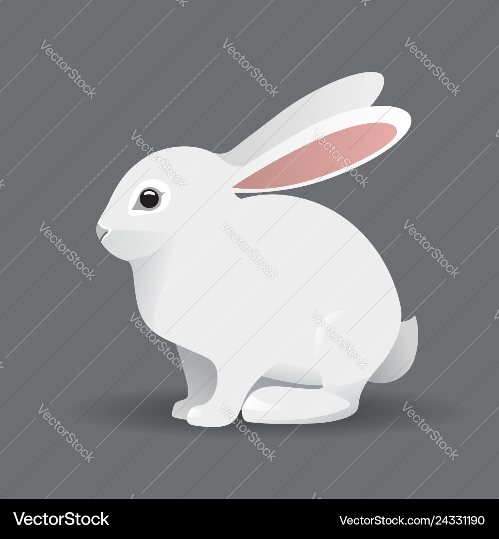 Cute white bunny rabbit cartoon Royalty Free Vector Image