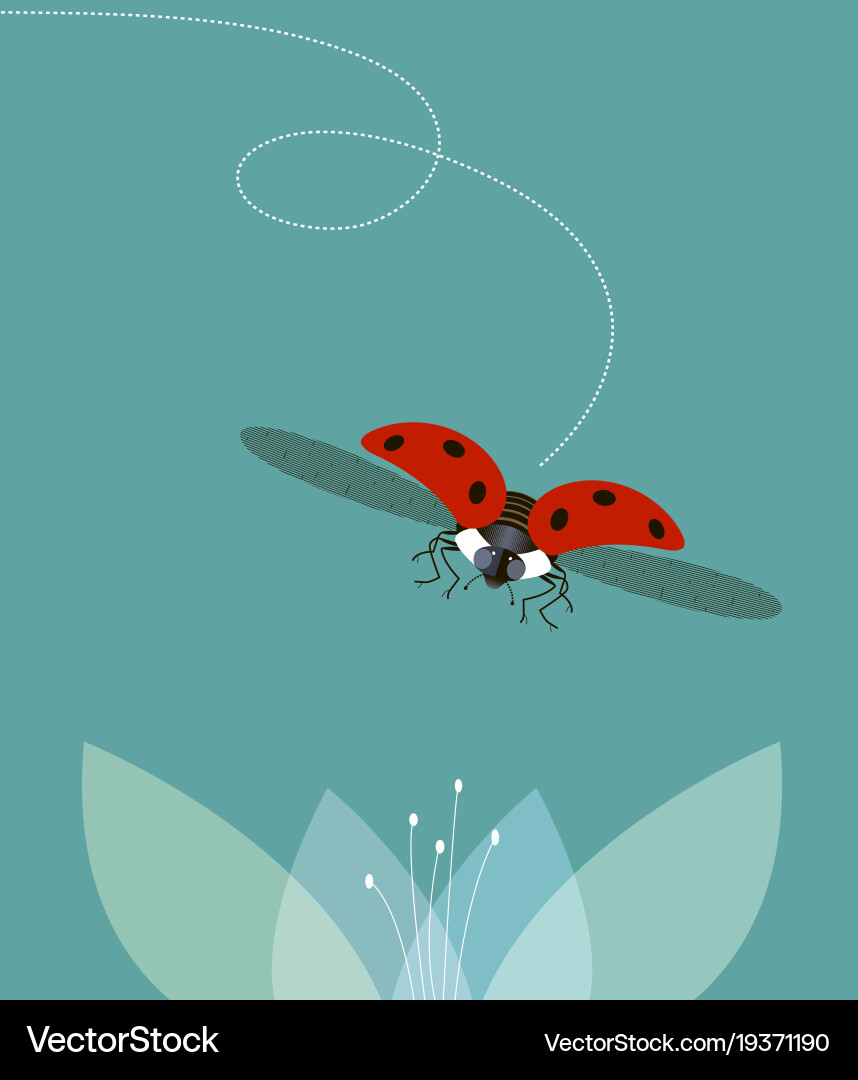 Ladybug flies Royalty Free Vector Image - VectorStock